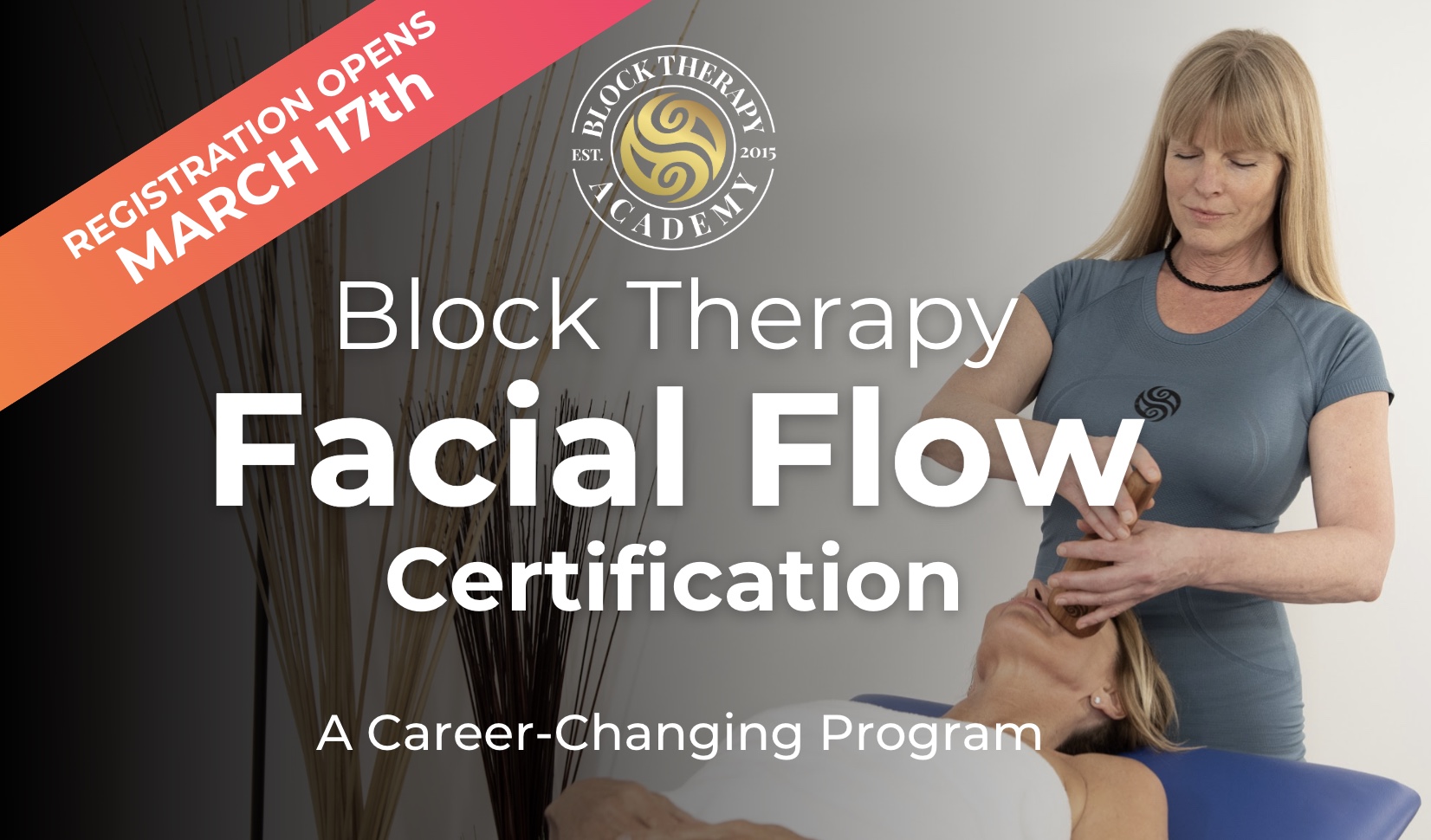 Block Therapy Facial Flow Certification Program Join Waitlist - Block Therapy